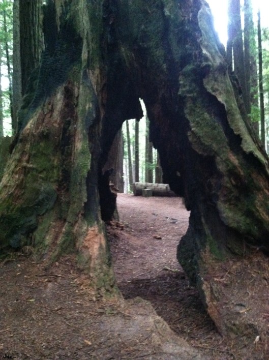 THE DECEIVING MIRROR | Ask Ms Mandi